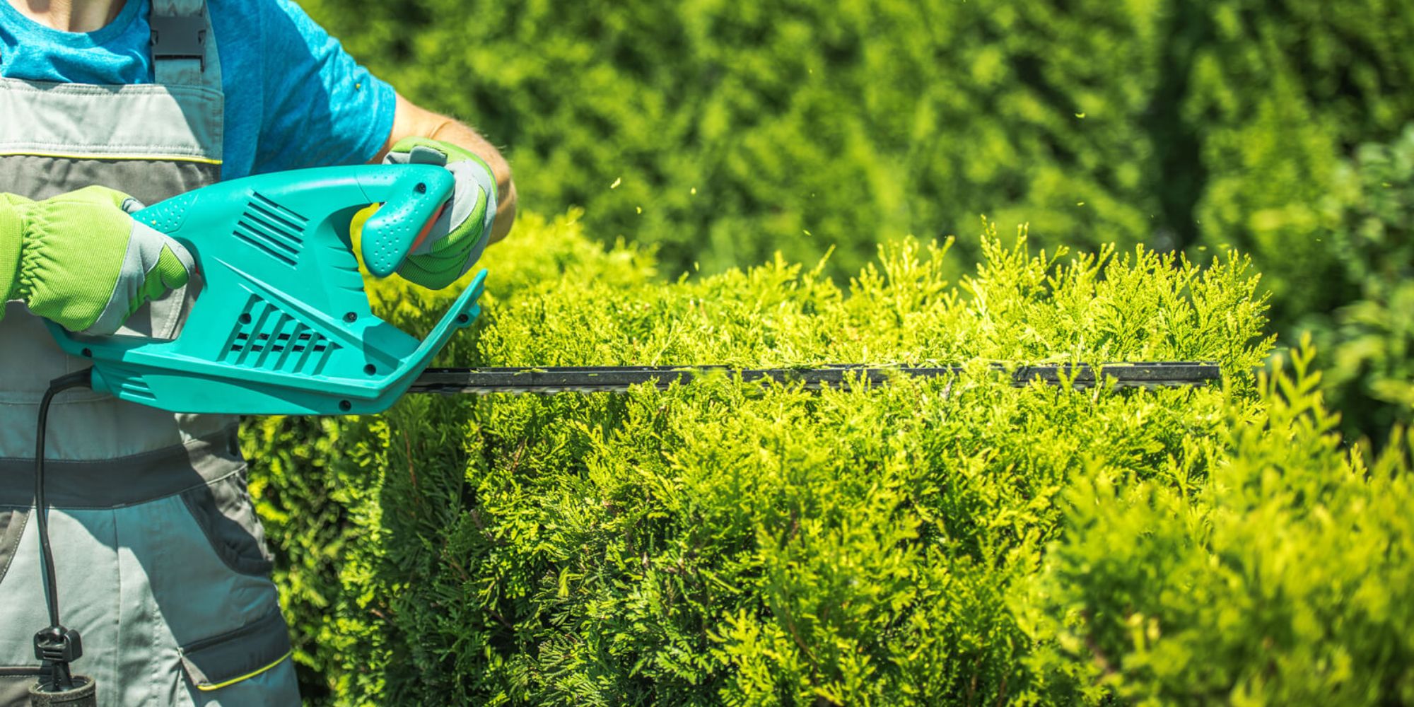 Landscape Management - Greenly Landscape India